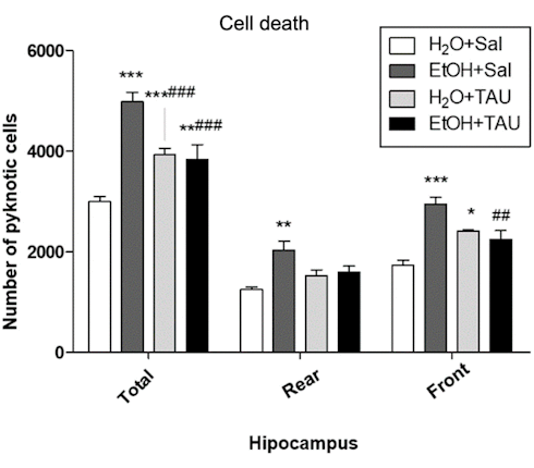 Taurine may protect the brain against alcohol